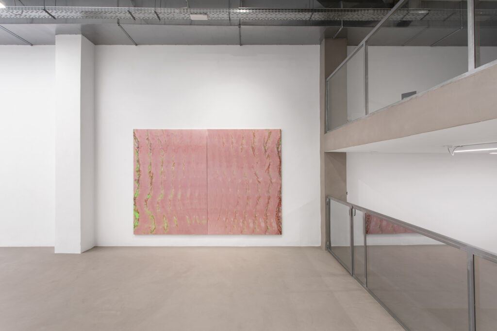 Max Boyla • Tube Gallery